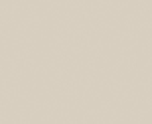 Formica Birch Velour Finish COD .BI .7921 - TSK Flat Pack Kitchens ...